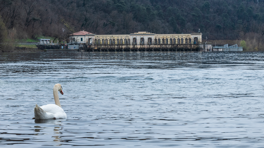 Esplorando il corso del Ticino - SUPSI