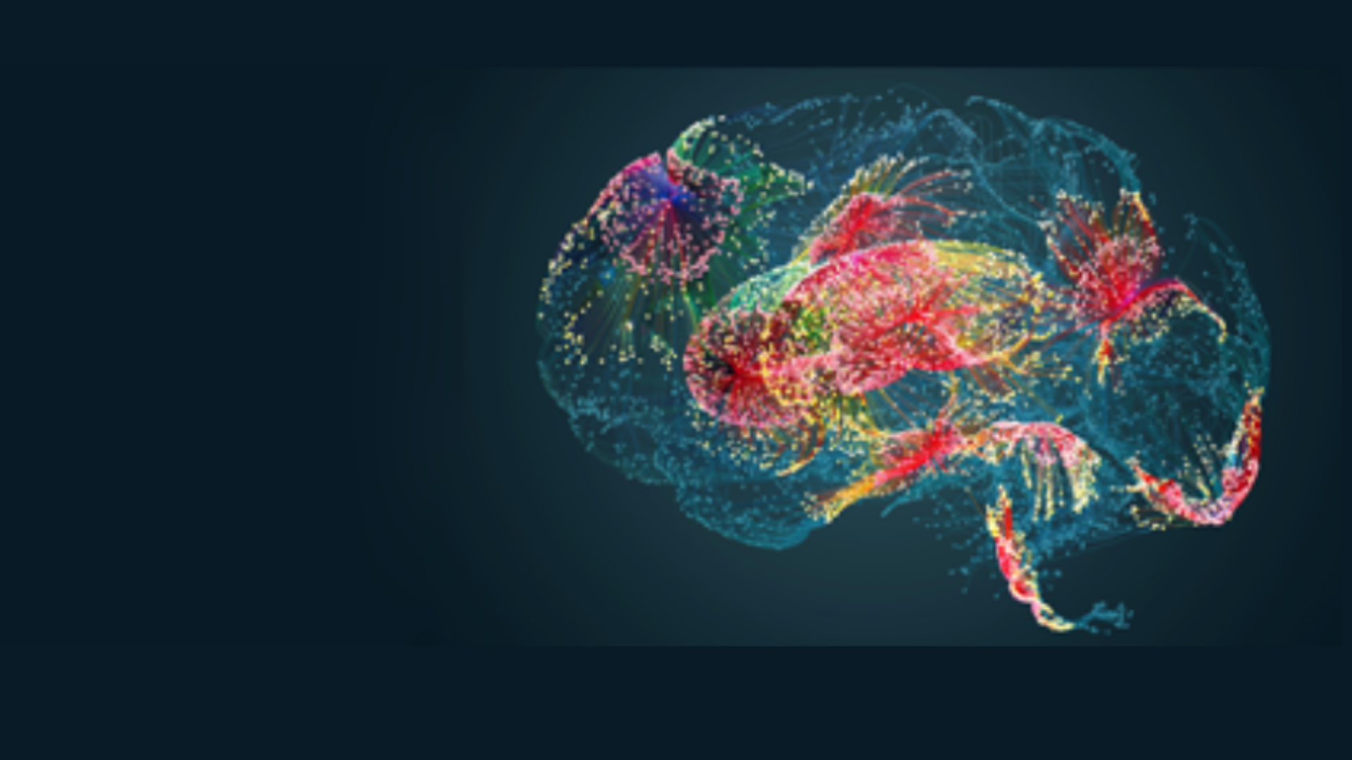 Explainable AI in Medicine - SUPSI
